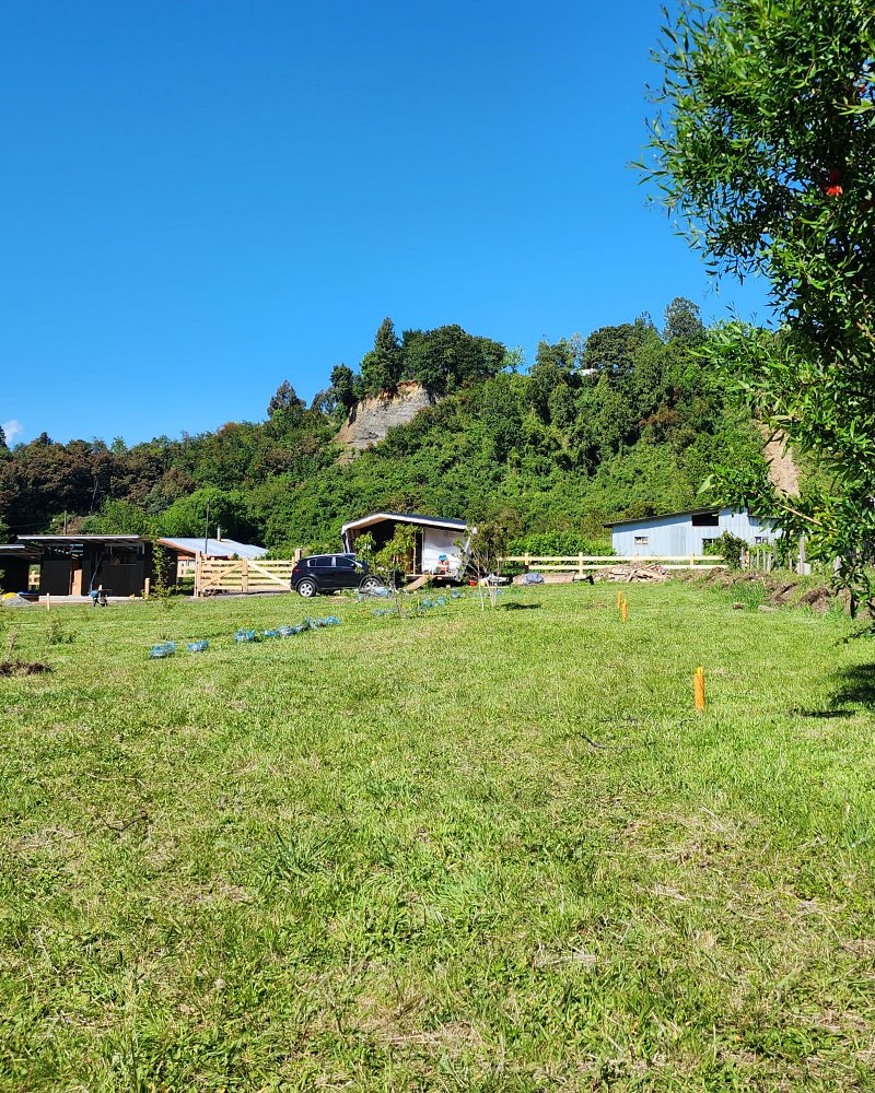 Camping MonteLuz | Lago Ranco